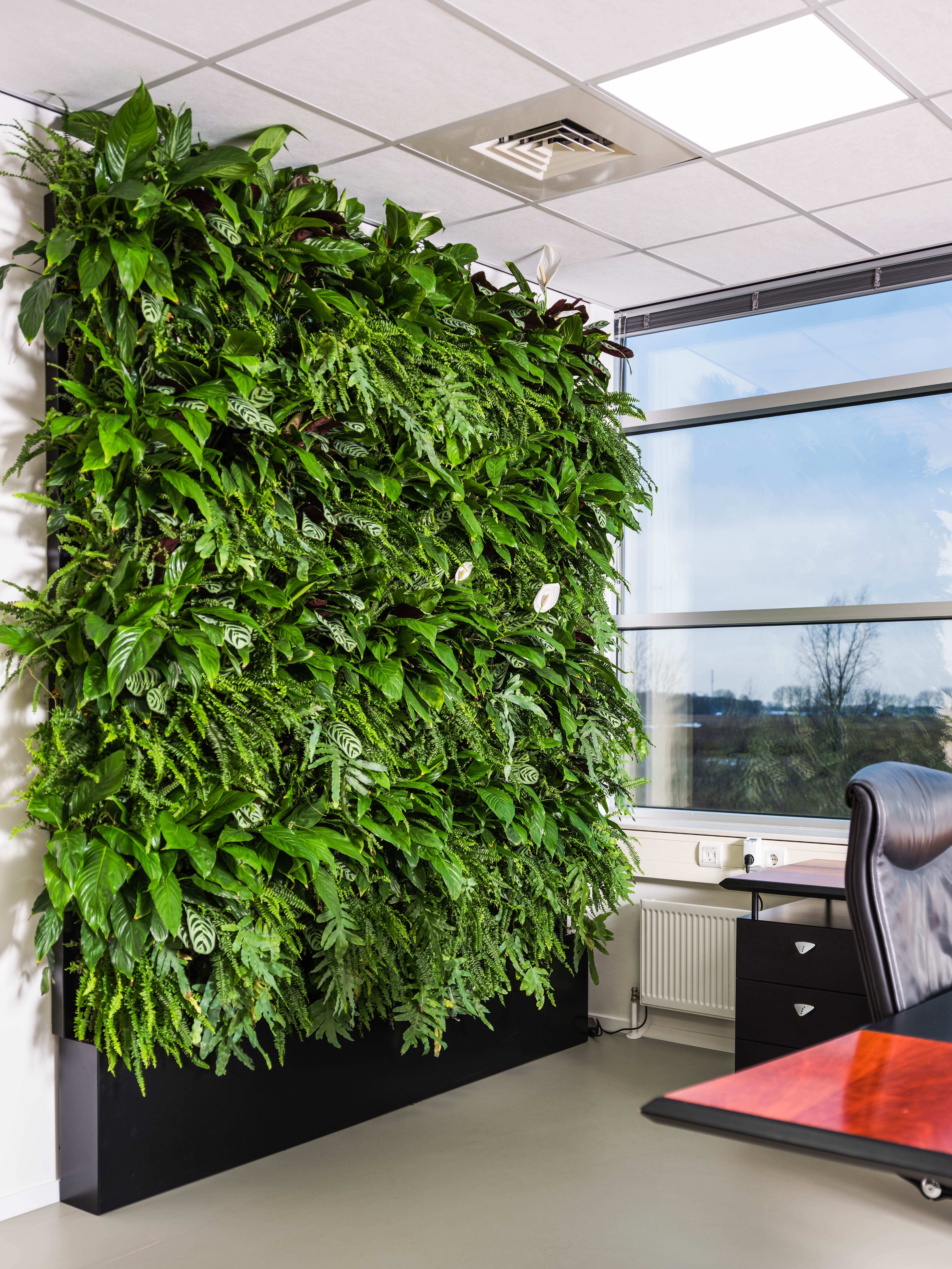 LivePanel Indoor with LivePanel TANK | British Institute of Interior Design